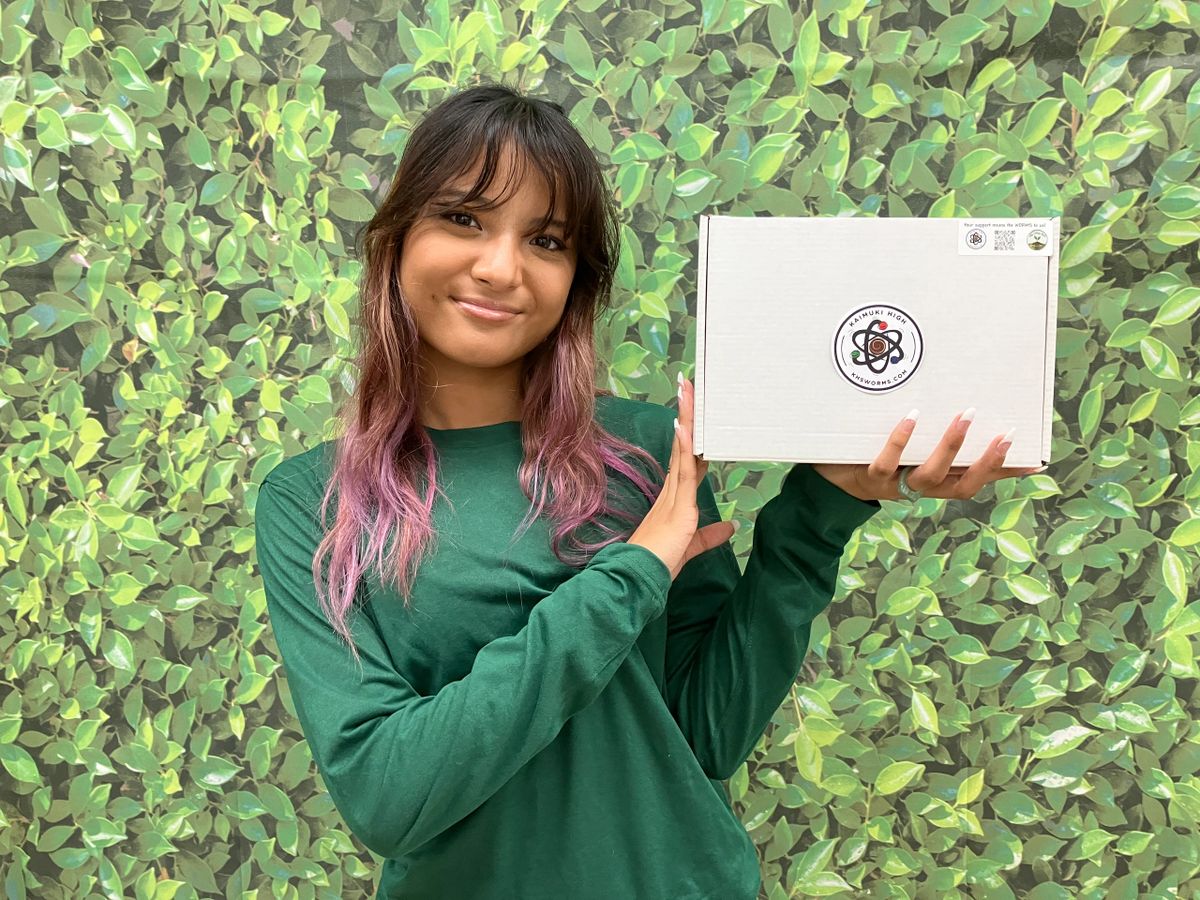 DIY - Bioremediation Ball Kits (a.k.a Genki Balls, recipe used with ...