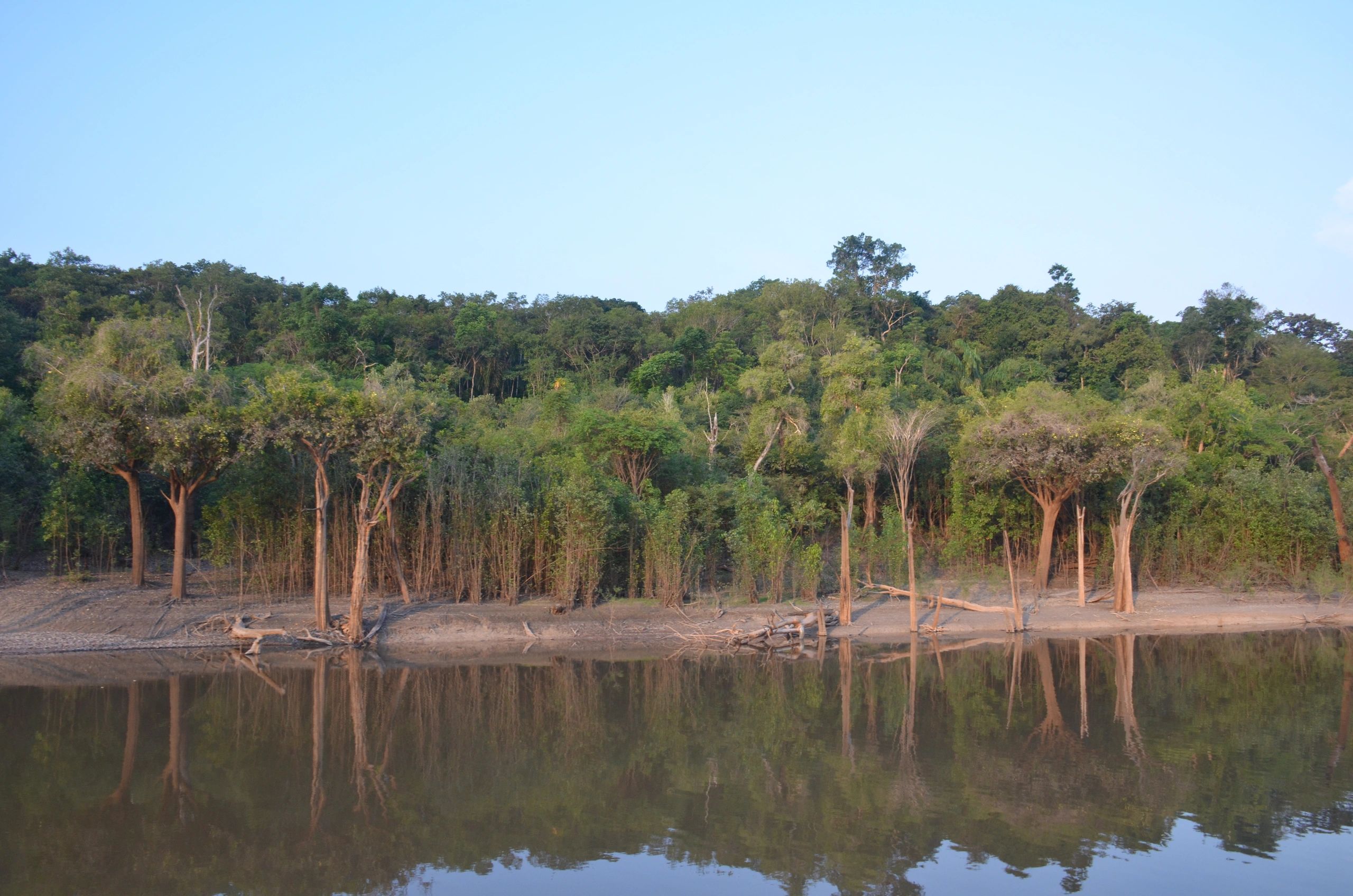 Rio Tupana - natureza selvagem e muito peixe