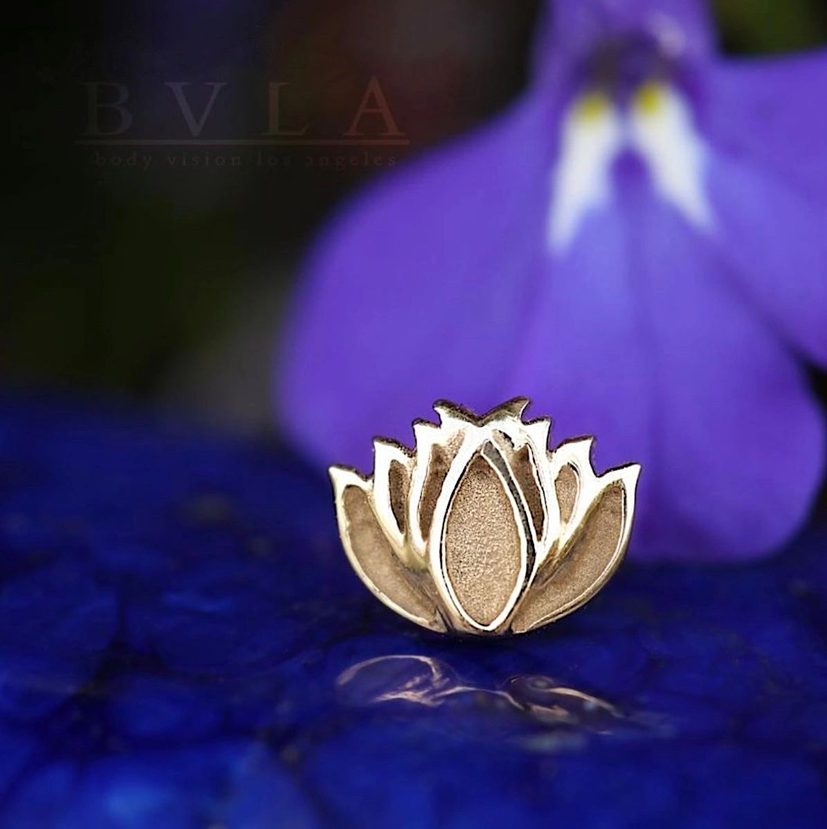 Sandblasted Relief Lotus