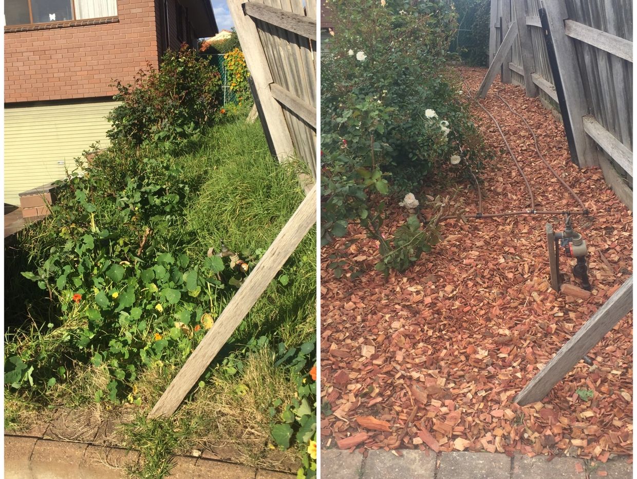 Leaf To Lawn gardening