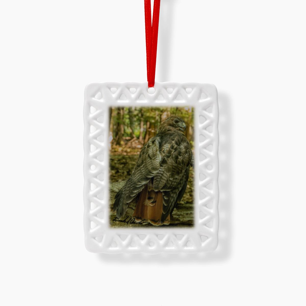 Red Tailed Hawk Ornament