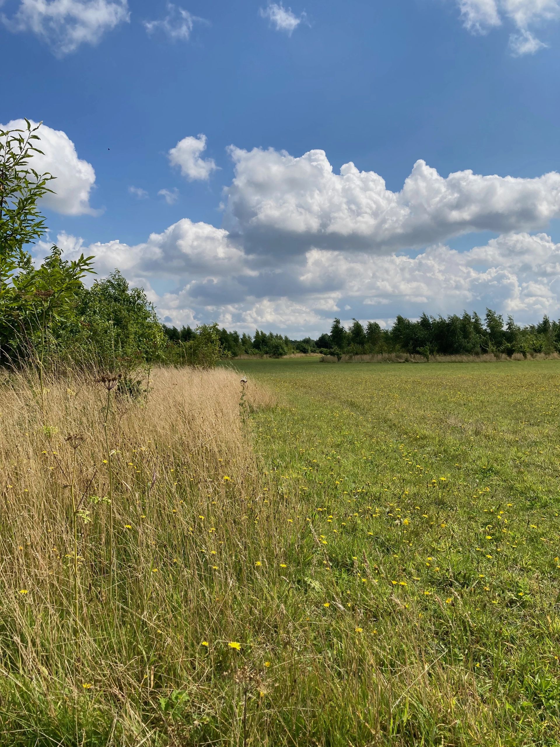 Brisley Village - Brisley Village Norfolk