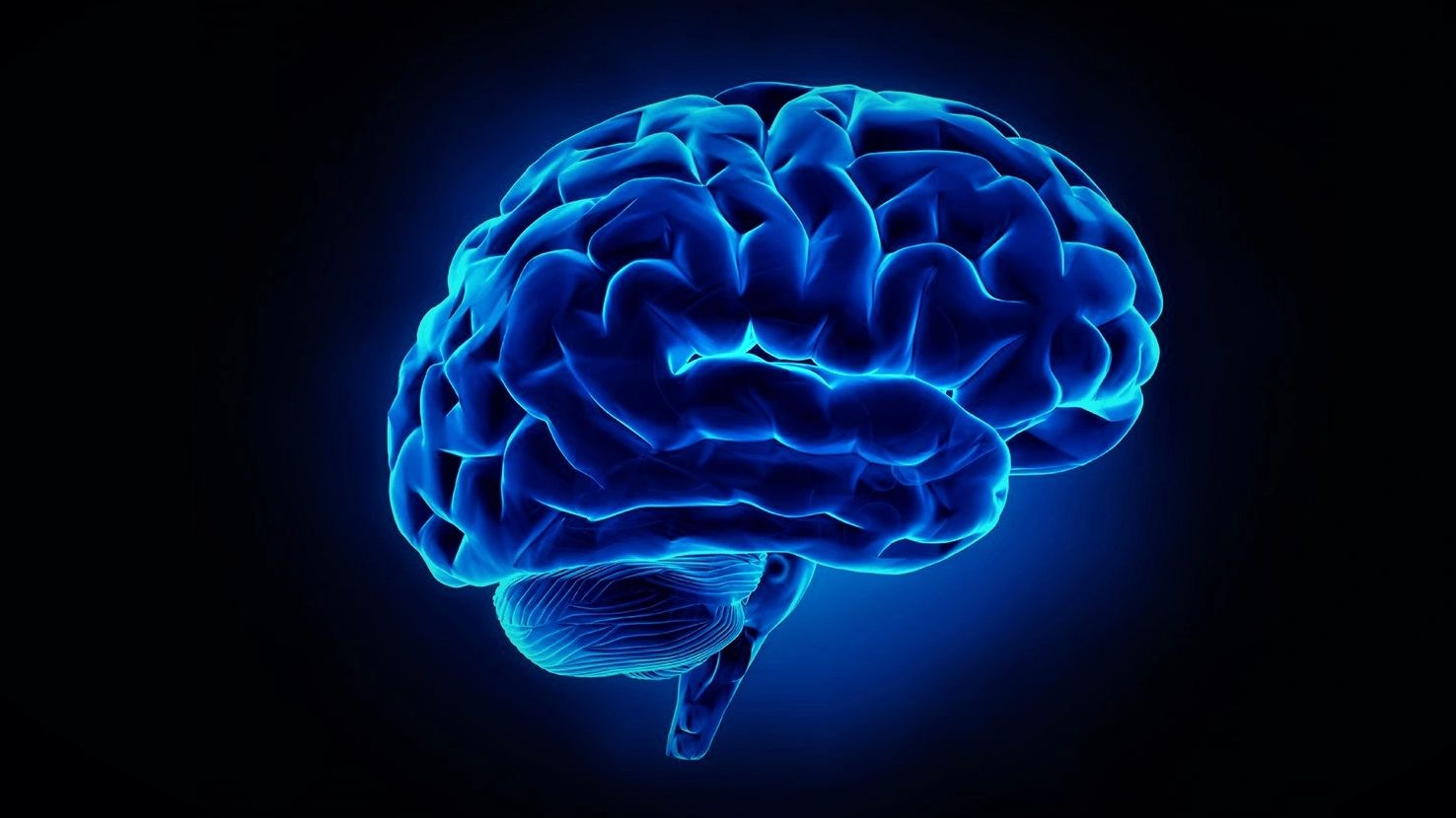 Artificial Intelligence and Machine Learning - Alpha AI