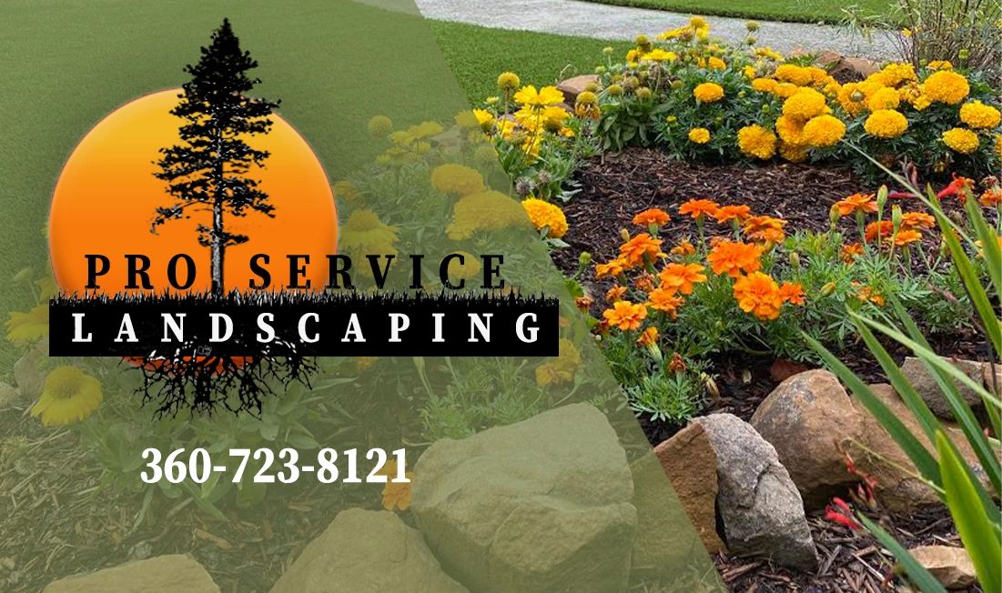 Pro Service Landscaping LLC