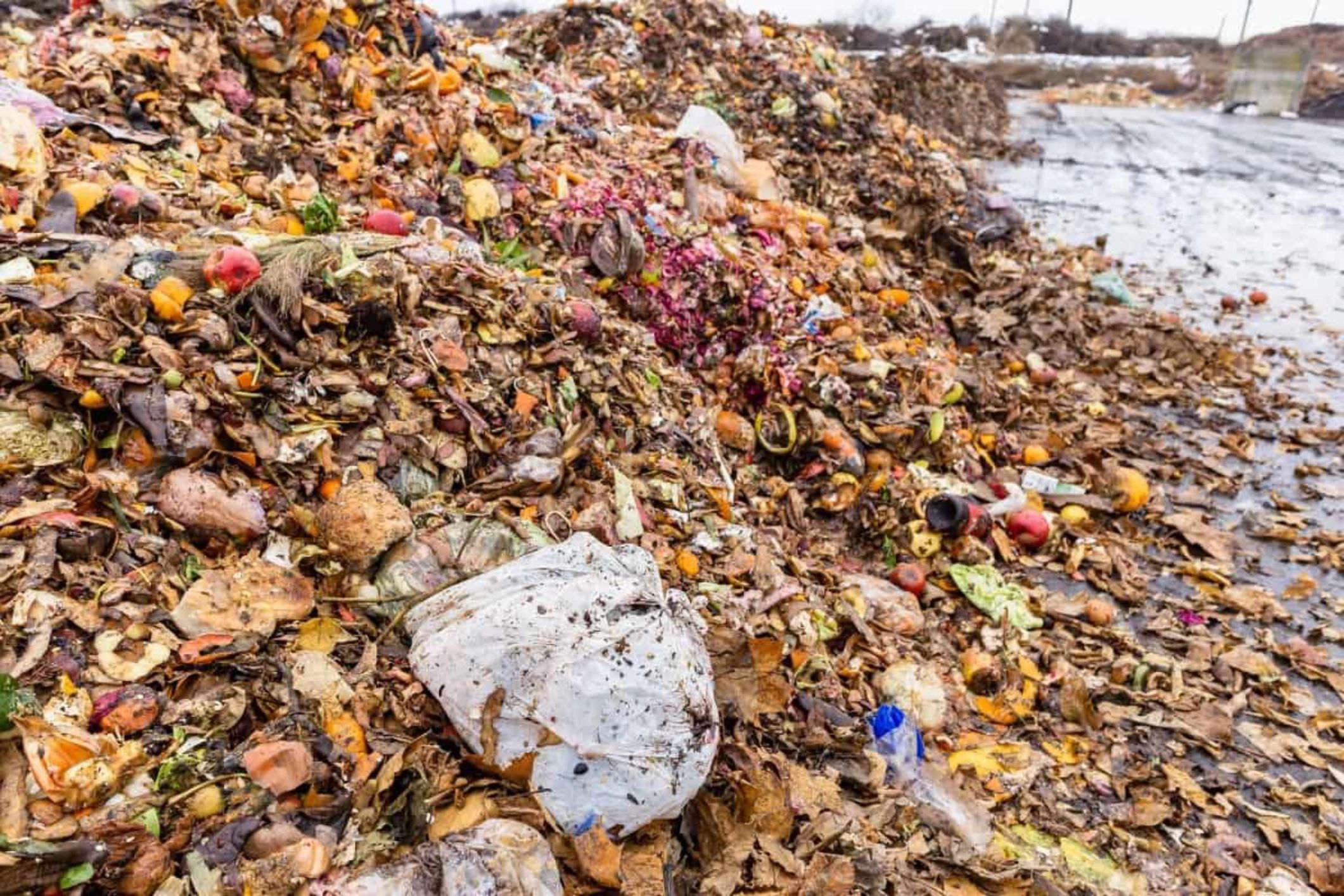 Zero Waste Project