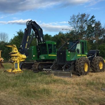 JB Forest Products Ltd - Home