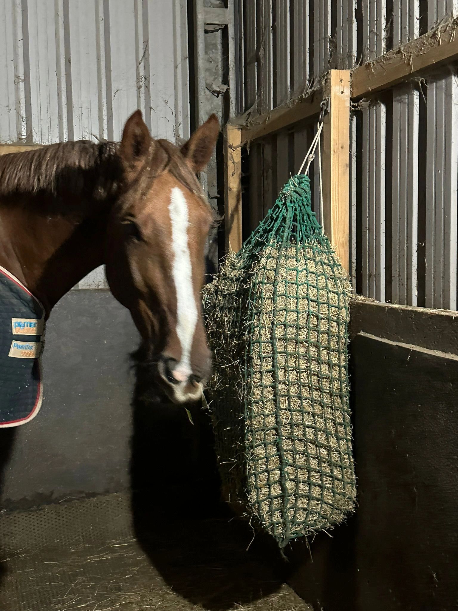 Low Cost High-Quality Hay Nets for Horses | Hay Netz