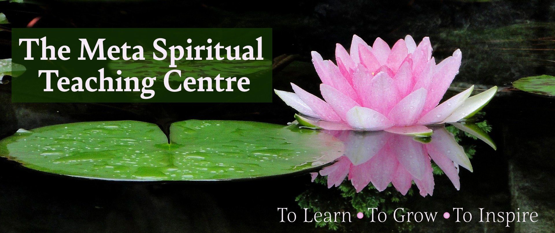 Meta Spiritual Teaching Centre