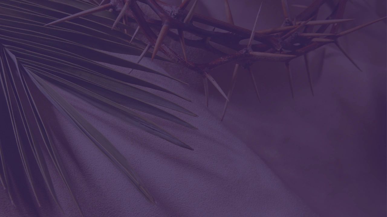 Lent Schedule 2026
