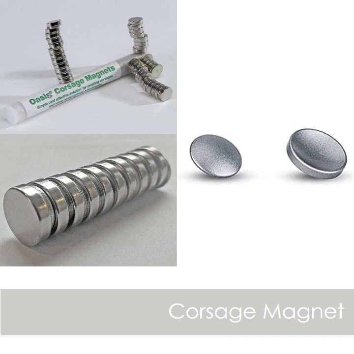 Corsage Magnet
