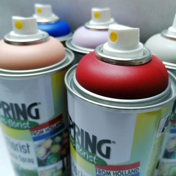Spring From Holland - Florist Deco Spray