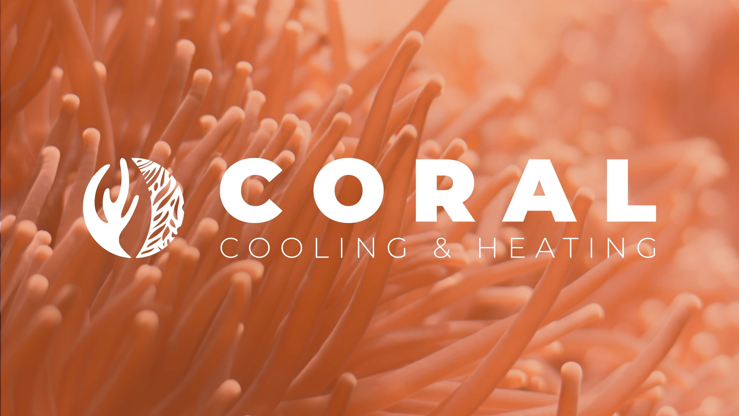 Coral Cooling
