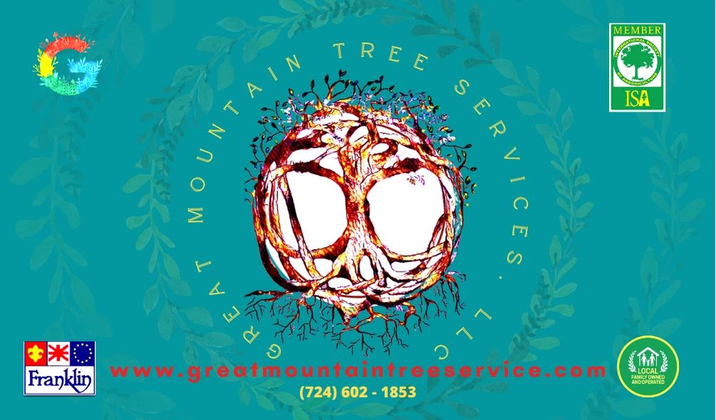 Great Mountain Tree Service - Tree Service - Franklin, Pennsylvania