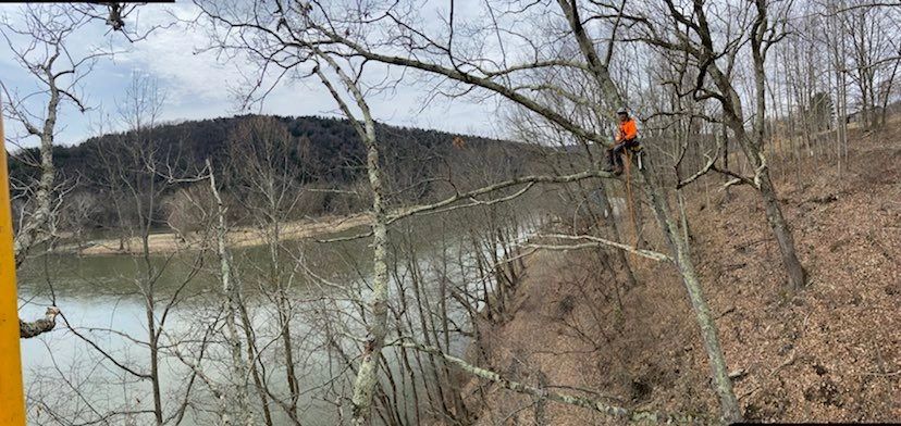 Great Mountain Tree Service - Tree Service - Franklin, Pennsylvania