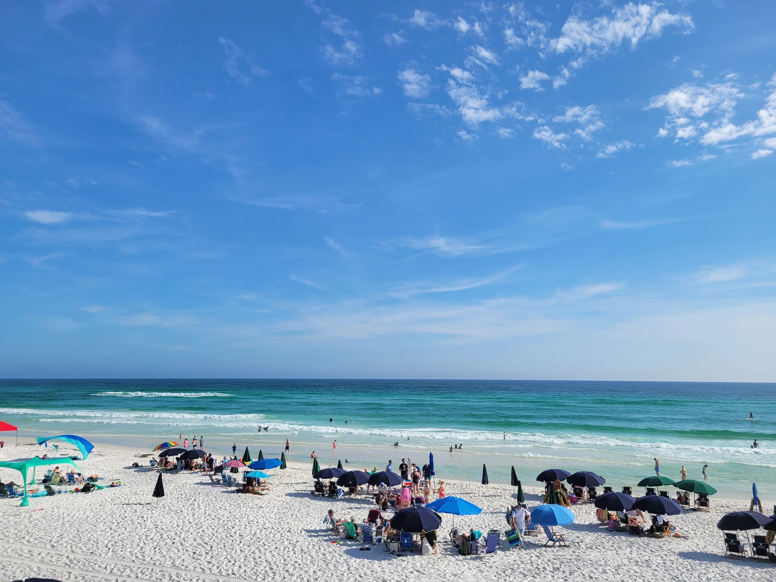 Protect the Emerald Coast Alliance