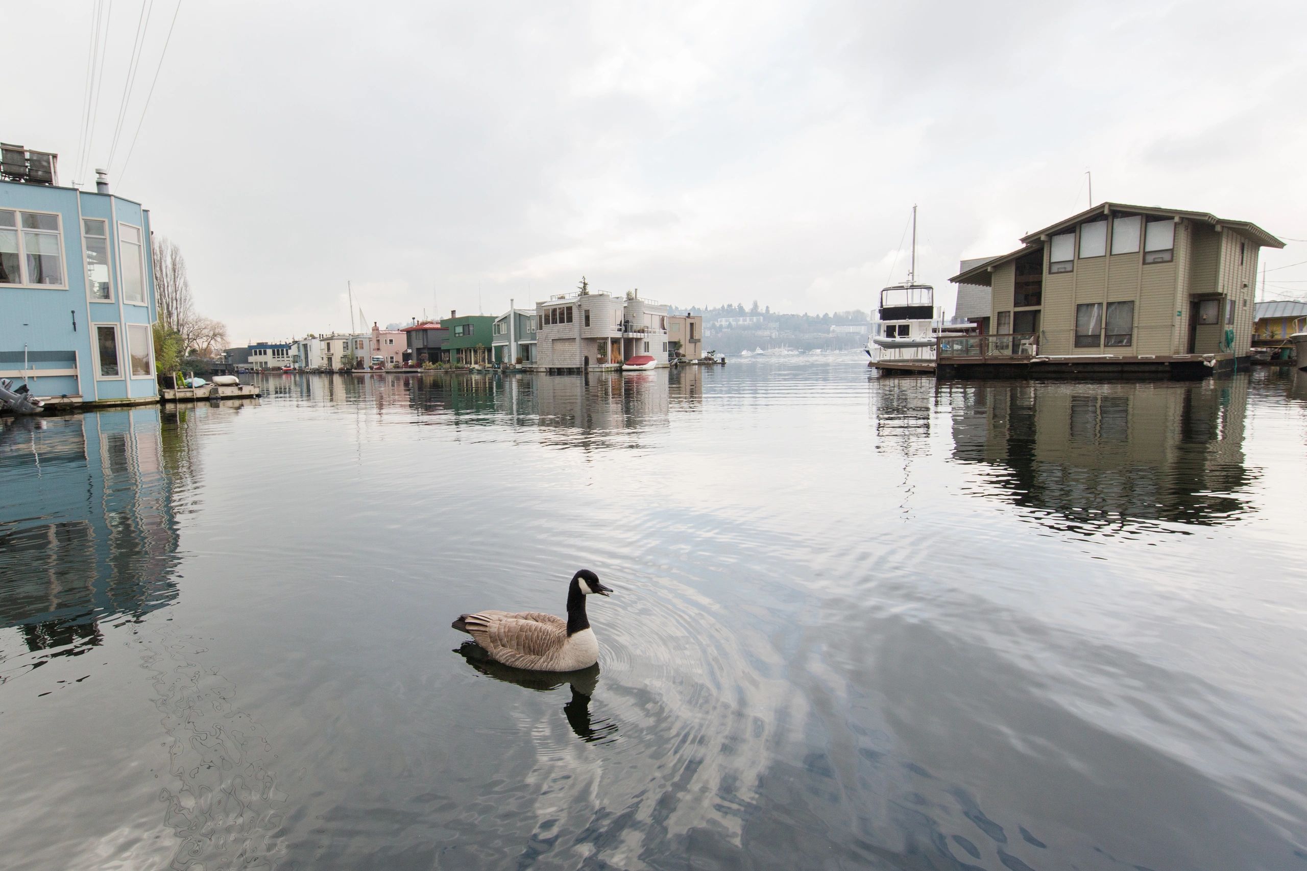 Waterfront Apartments