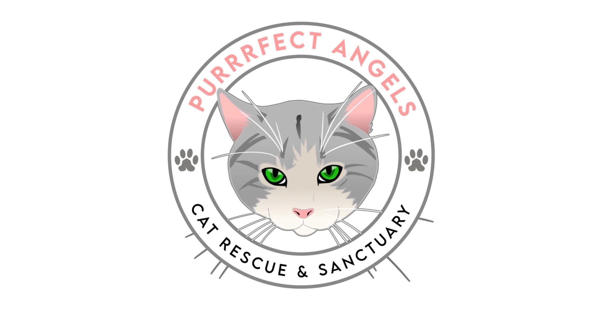 Purrrfect Angels Cat Rescue - Cat Rescue, 501c3