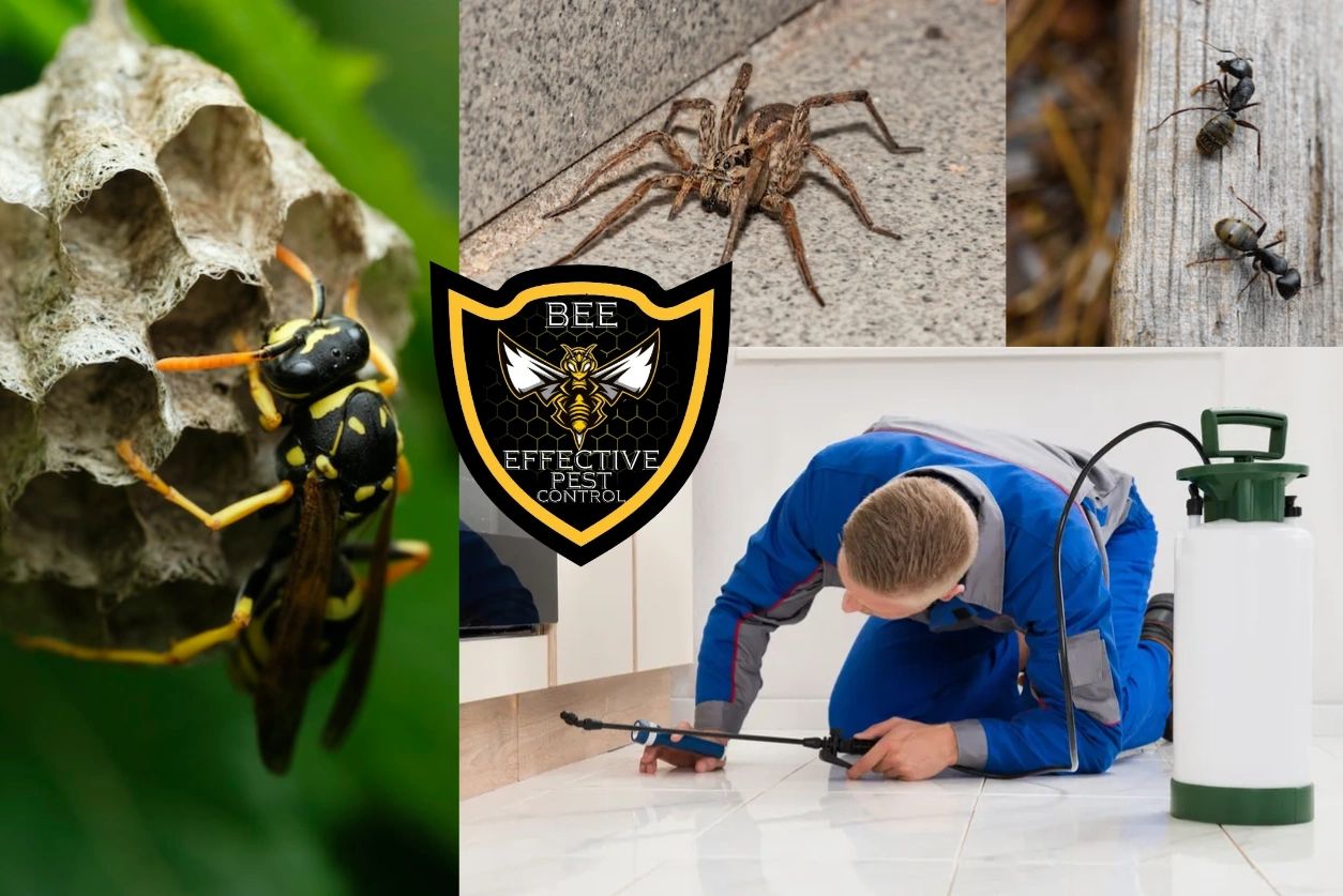 Bee Effective Pest Control LLC