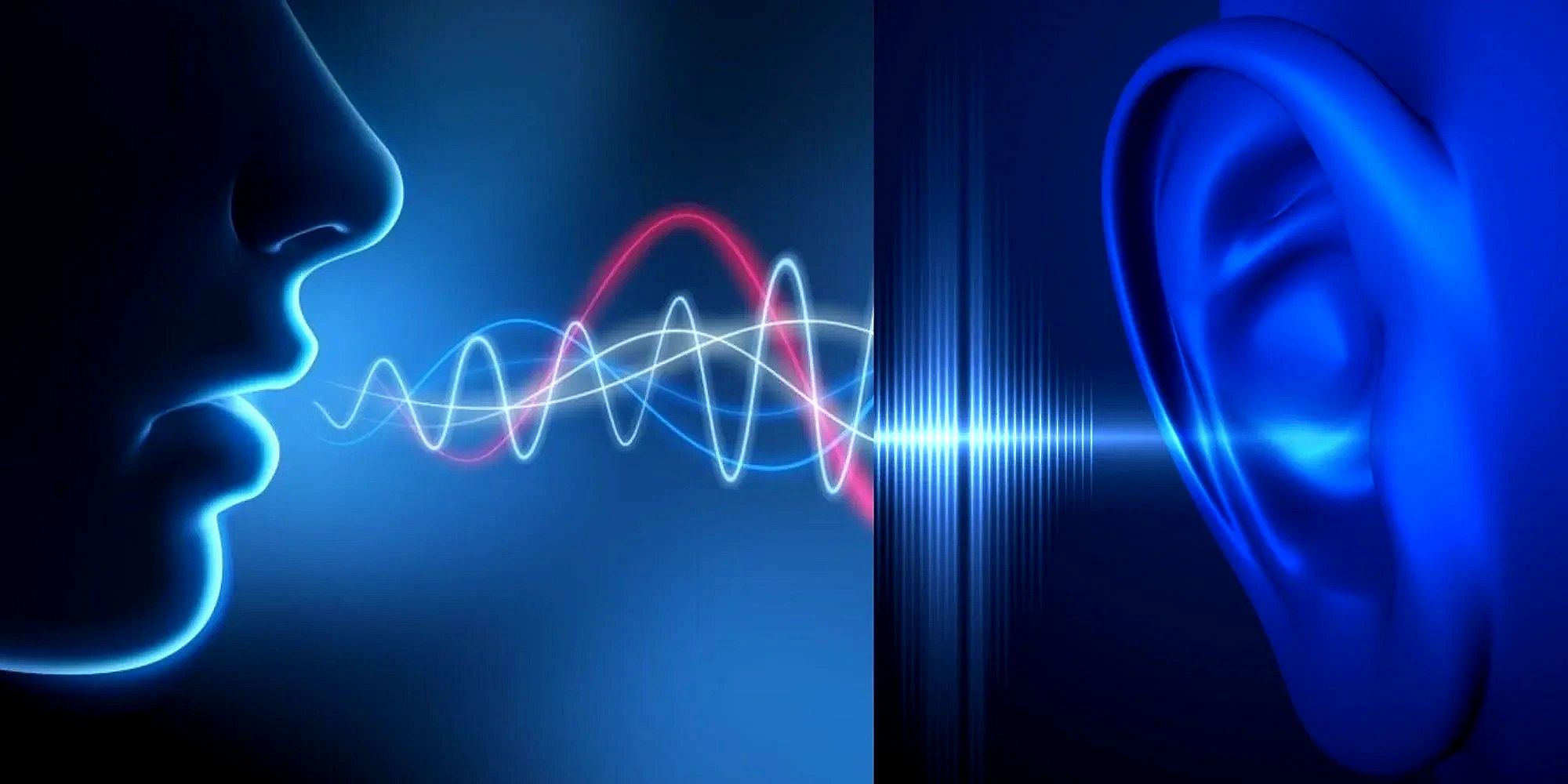 Annai Speech & Hearing Clinic