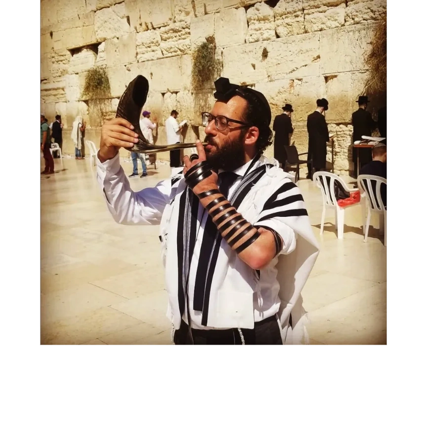 Tiferes Menachem Partners