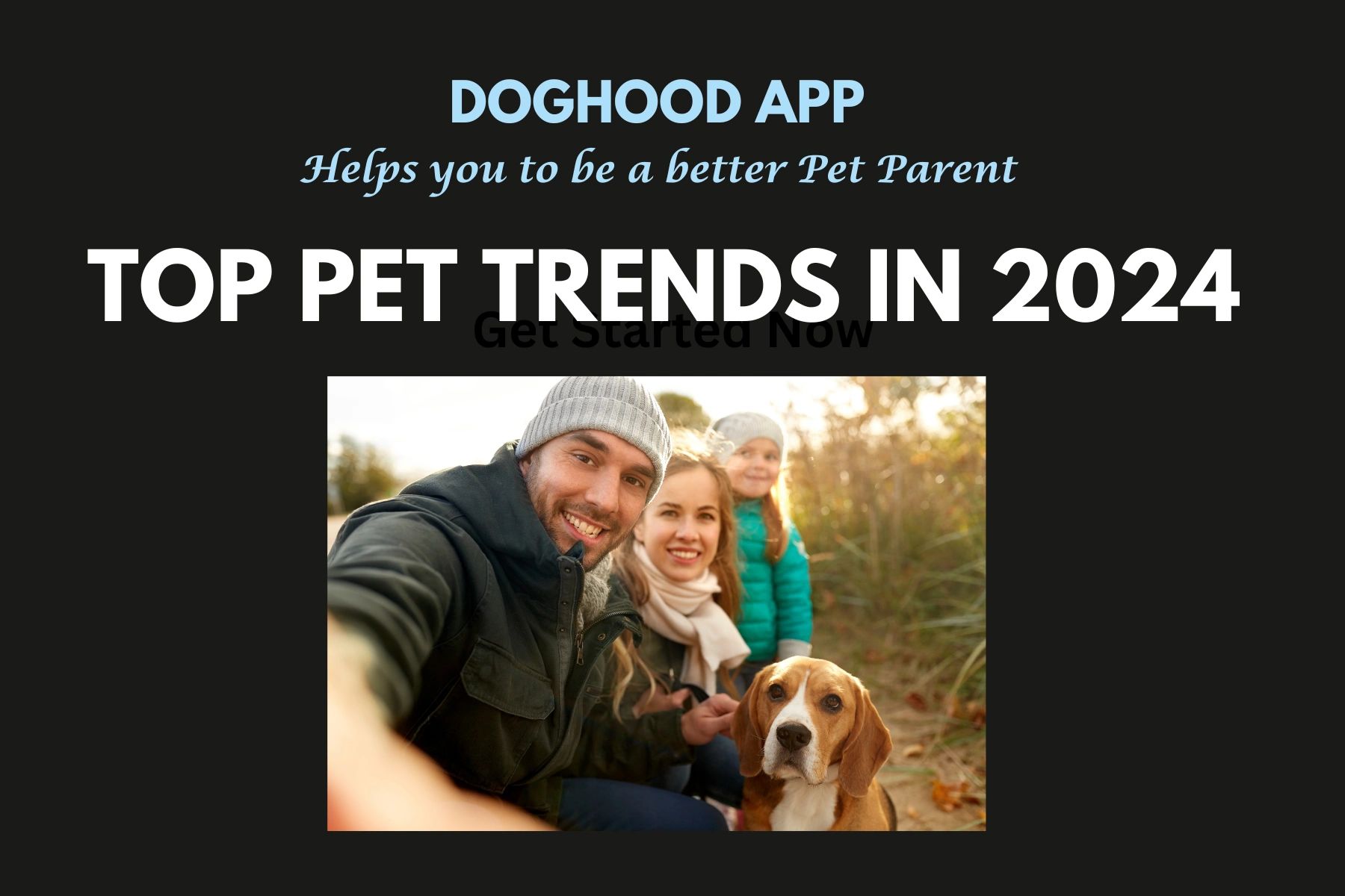 Top Pet Trends You Want to Pounce on Right Now
