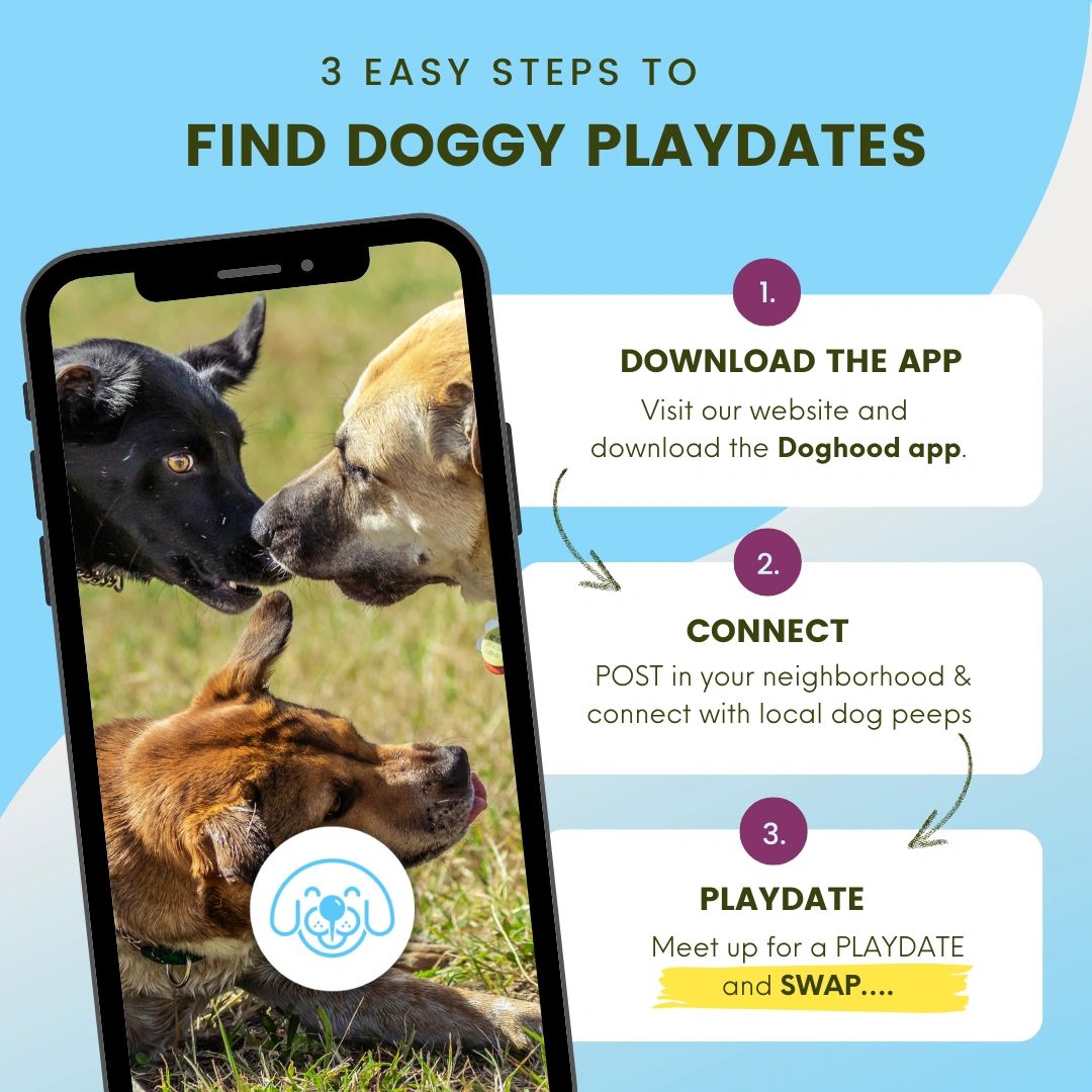 DogHood - Neighborhood Dog Meetup App, Dog Playdate, Dog Meeetup