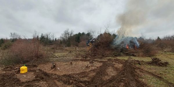 S & A Tree Service of Fort Wayne