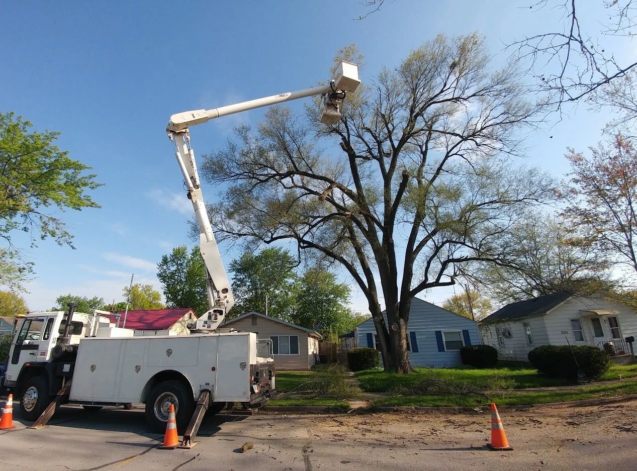 S & A Tree Service of Fort Wayne - Home