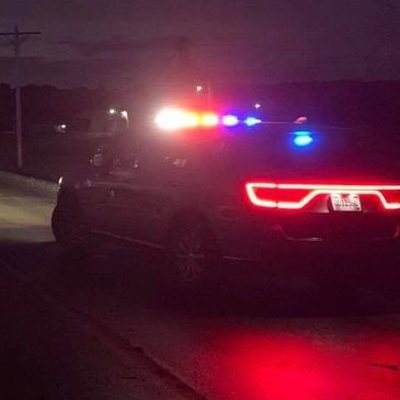 Hamlin County, South Dakota Government