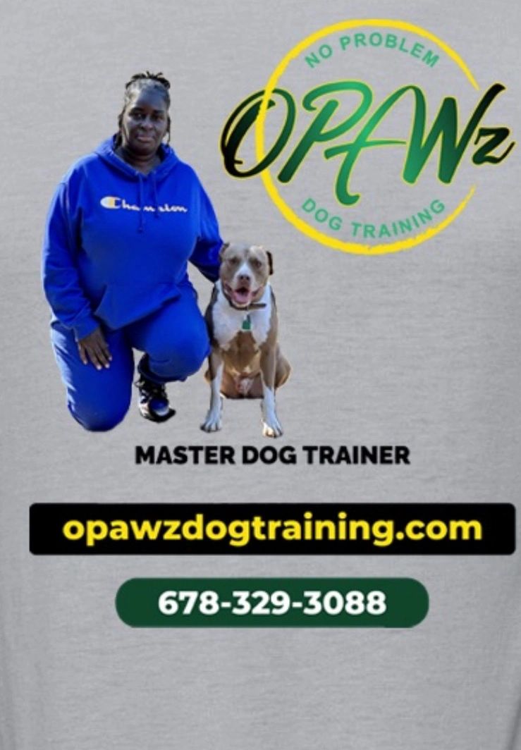Professional Dog Training Services