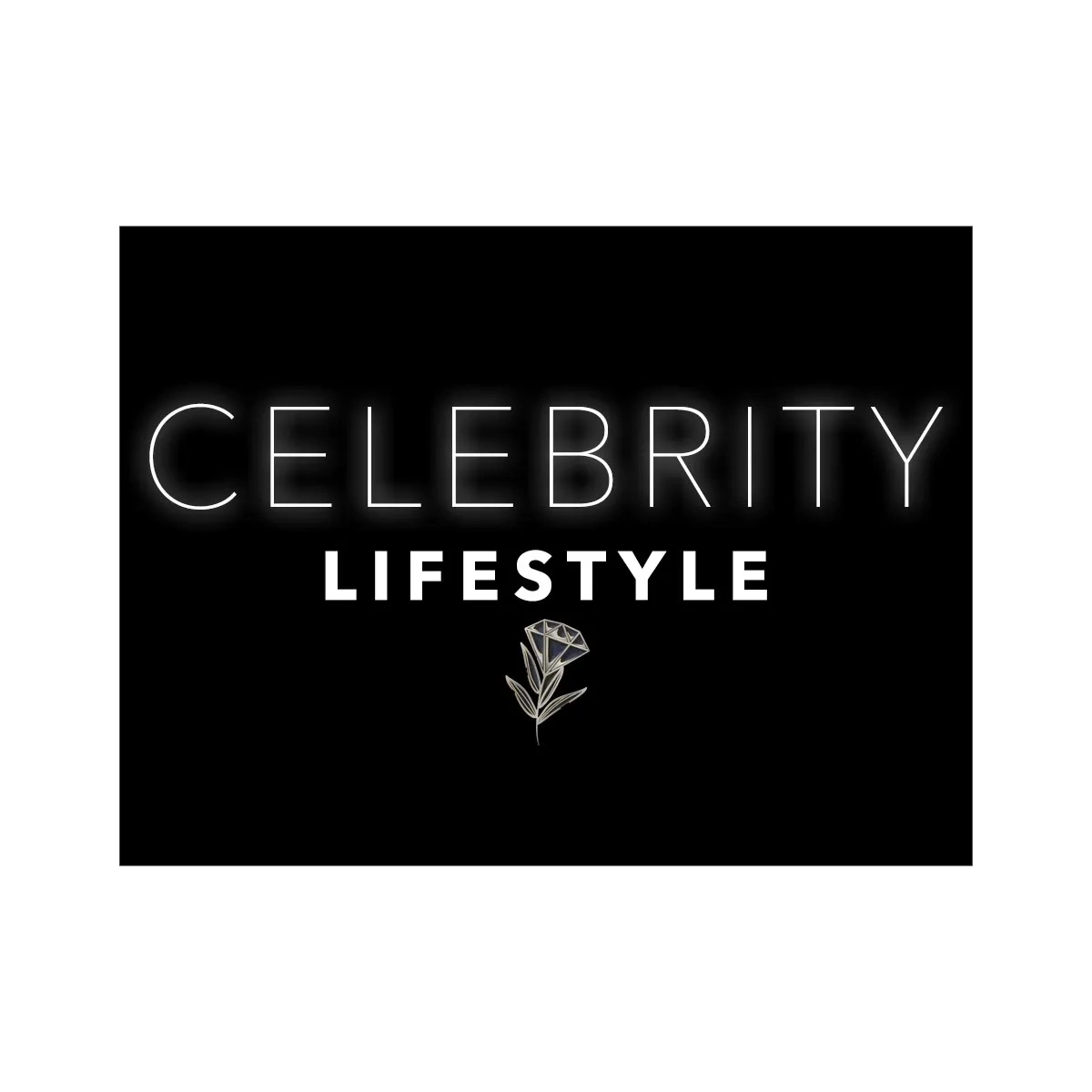 Celebrity Lifestyle
