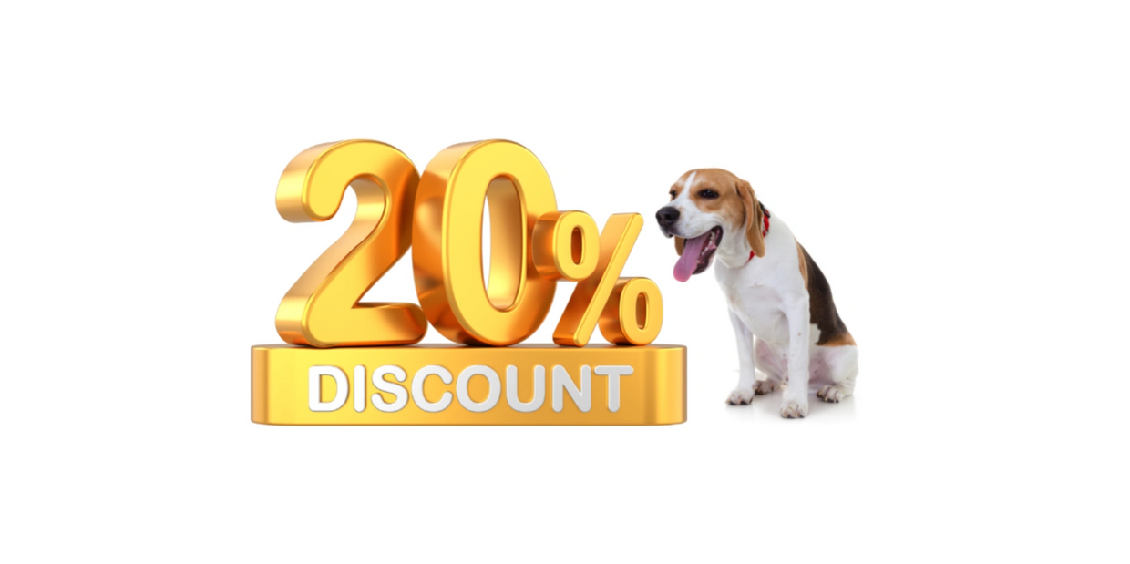 The Beagle Lady - Beagle Trainer, Beagle Training