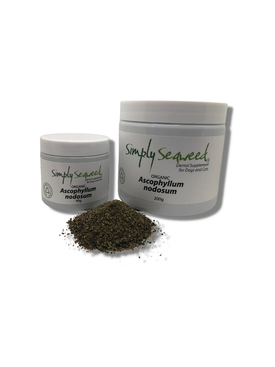 Simply Seaweed - Ascophyllum nodosum