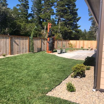 Professional Landscaping Services near Me