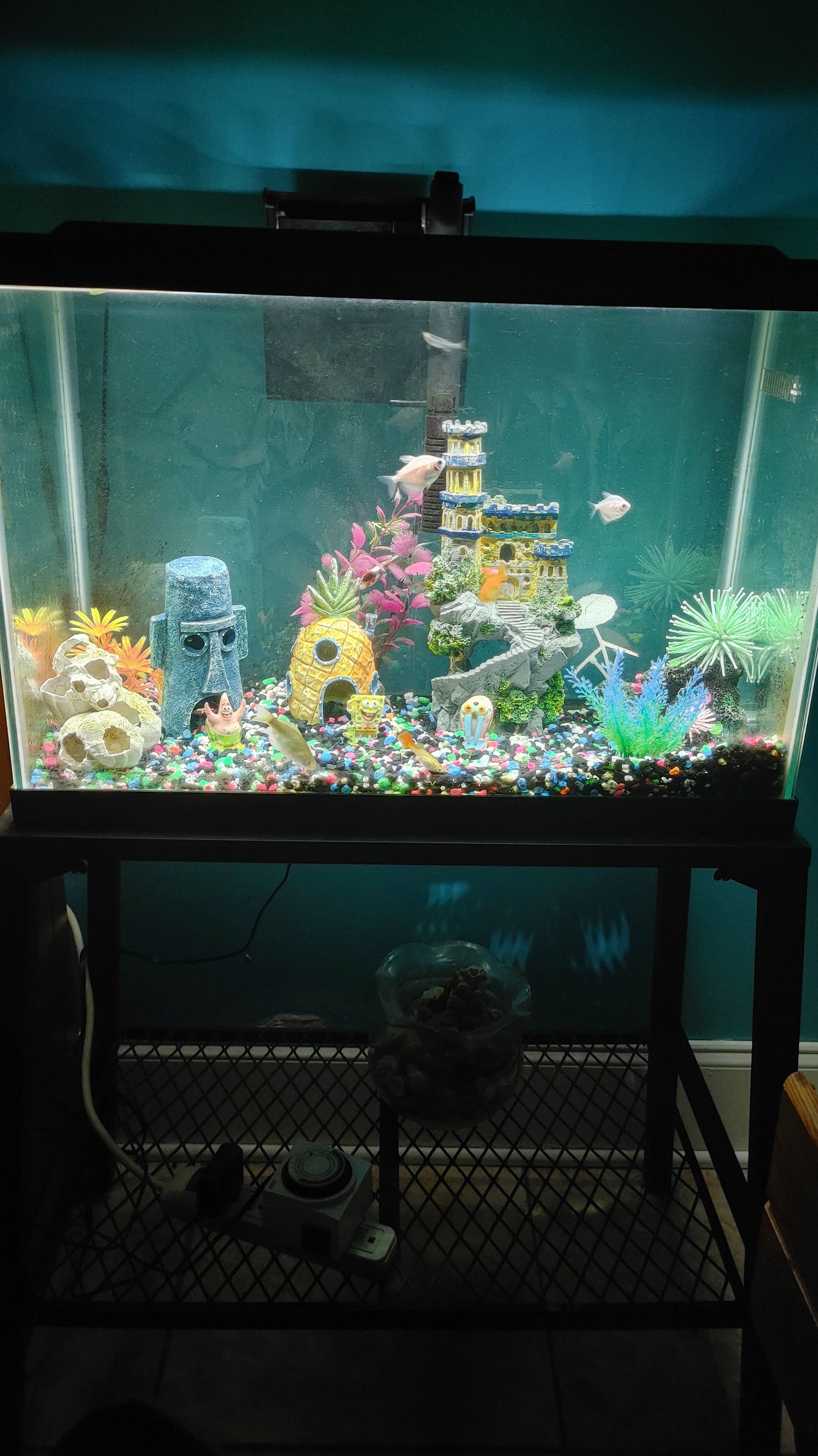 Reefers Aquatics | Reefers Aquatics