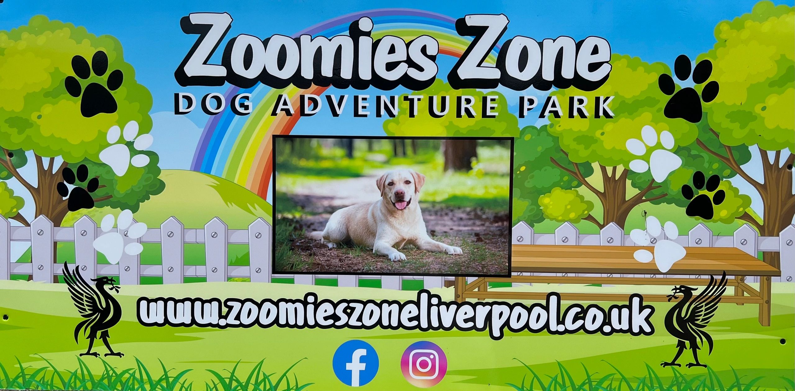 Zoomies Zone Liverpool