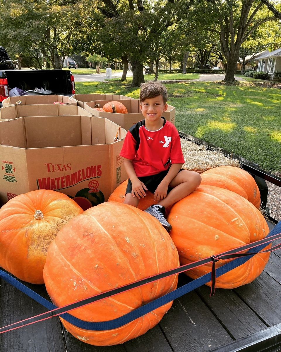 Grand Prize Pumpkin