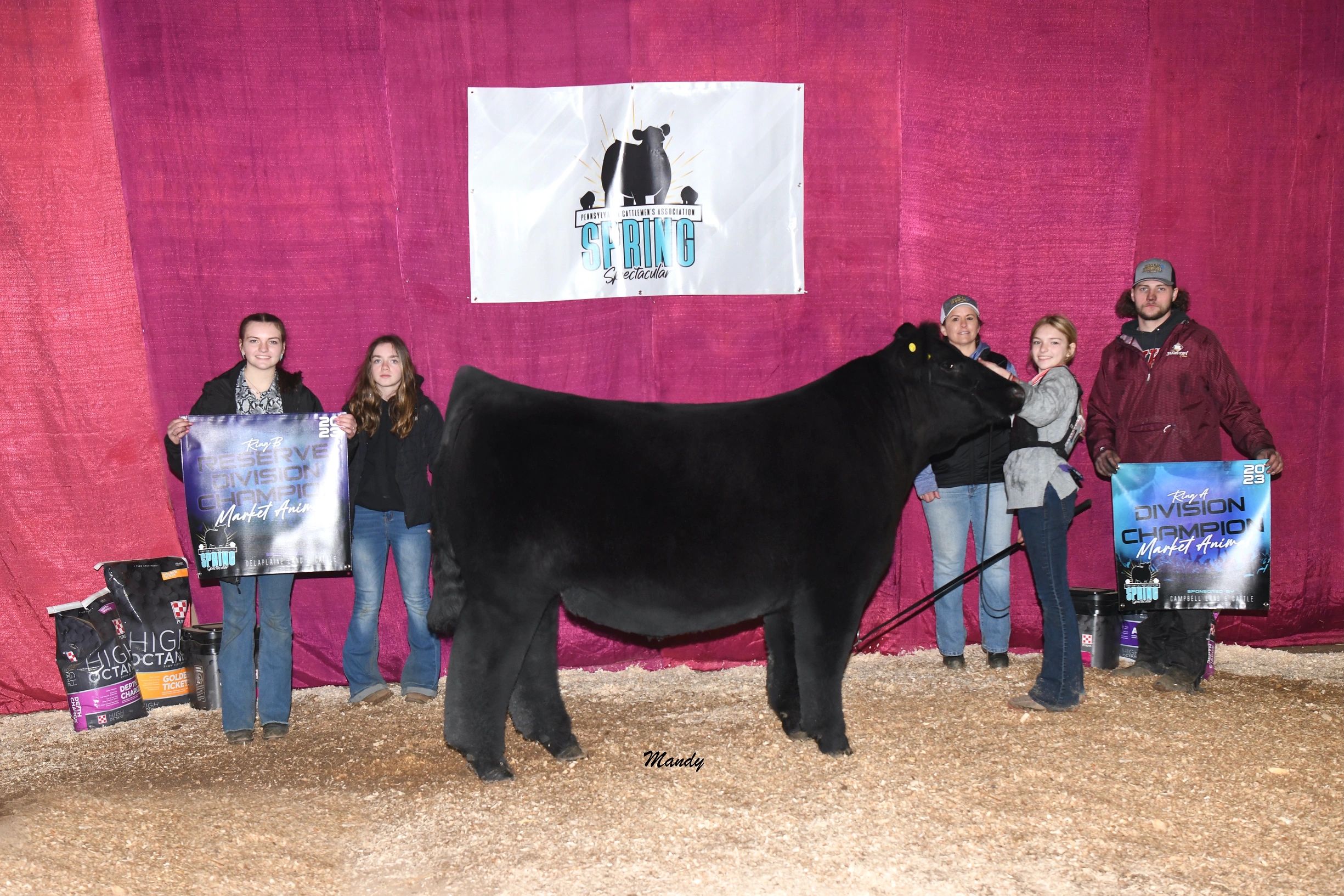 Hanft's Hickory Hill Farm Show Cattle - Farm, Show Cattle