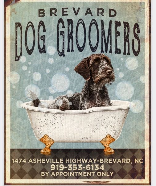 Brevard Dog Groomers