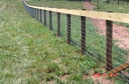 T Post Fencing Installed