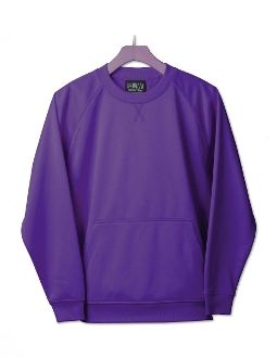 Purple Sweat Shirt