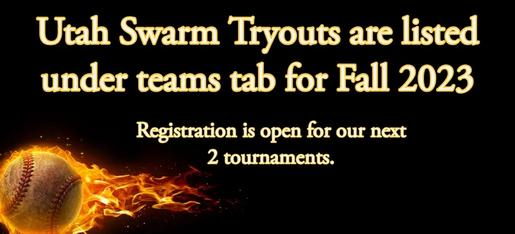 Batter's Up! | Utah Swarm Baseball