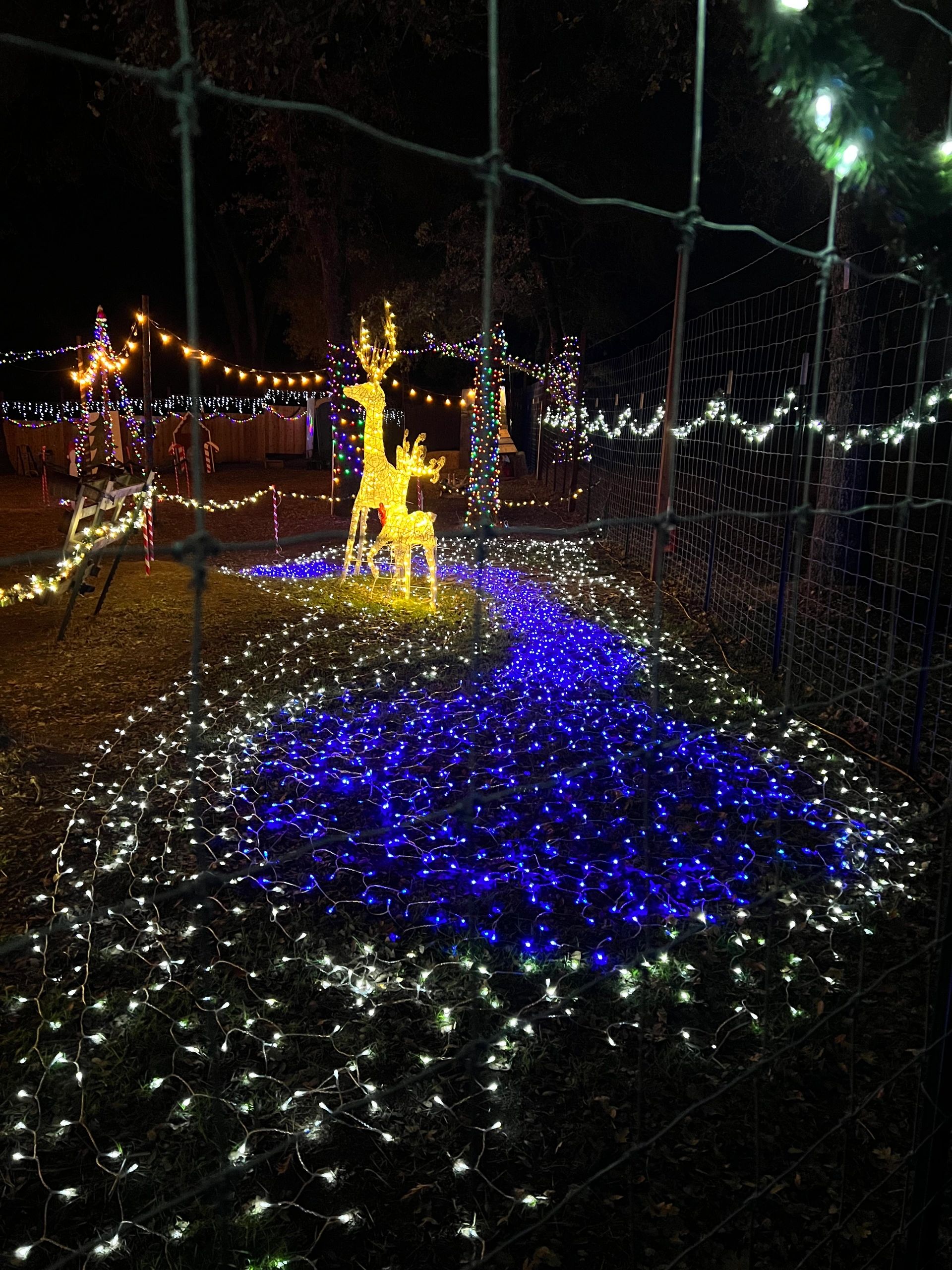 The haunted pumpkin patch