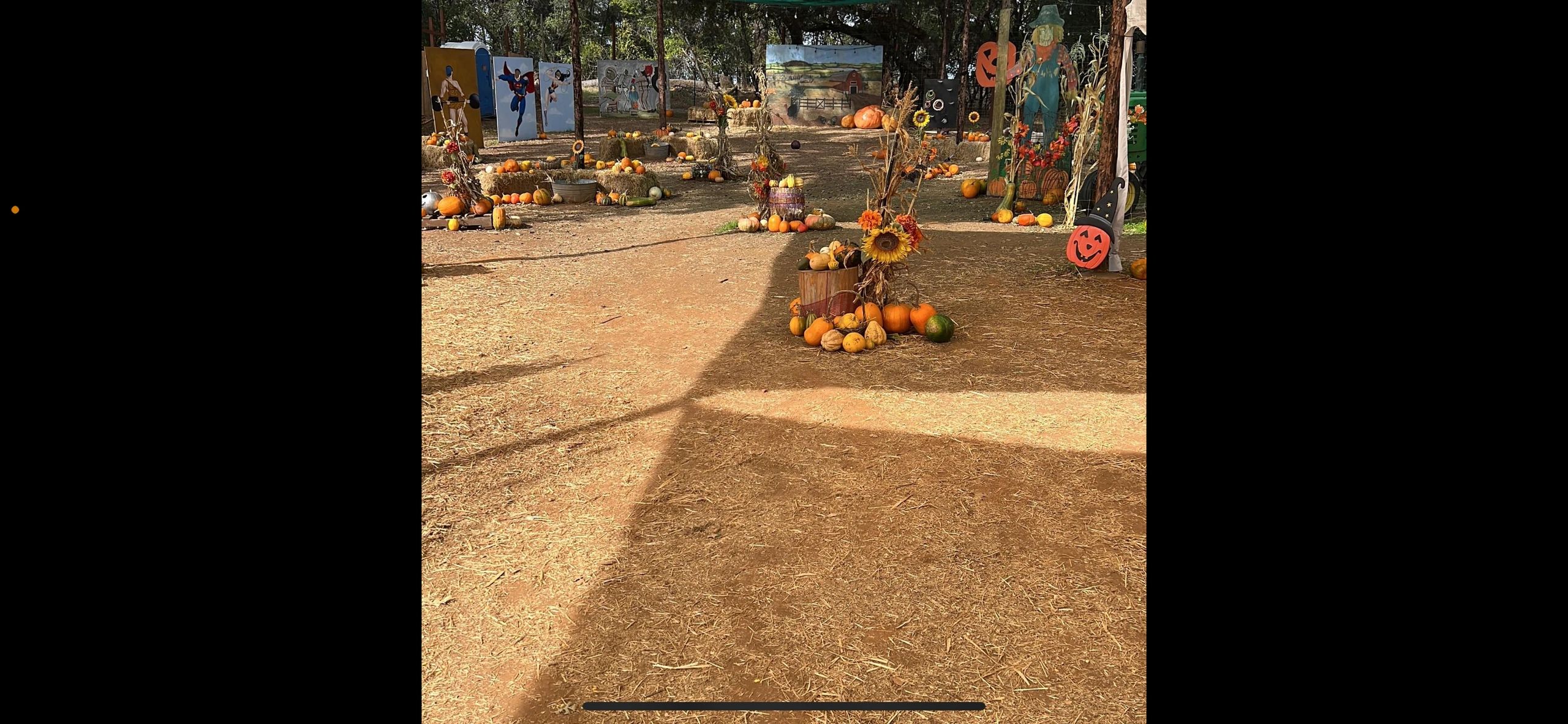 The haunted pumpkin patch