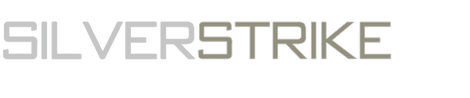 Silver Strike LLC