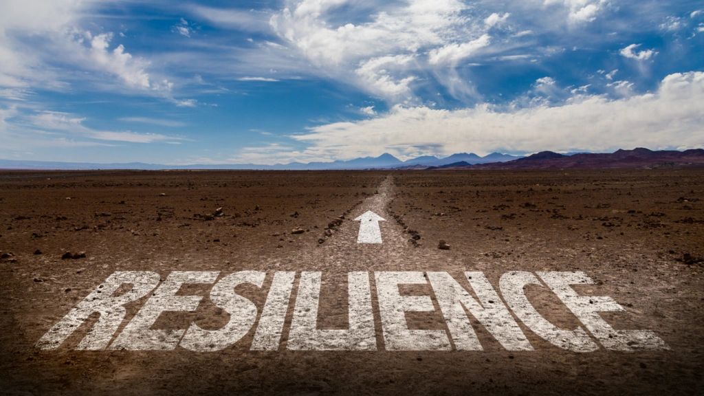 Building Resilience Through Learning