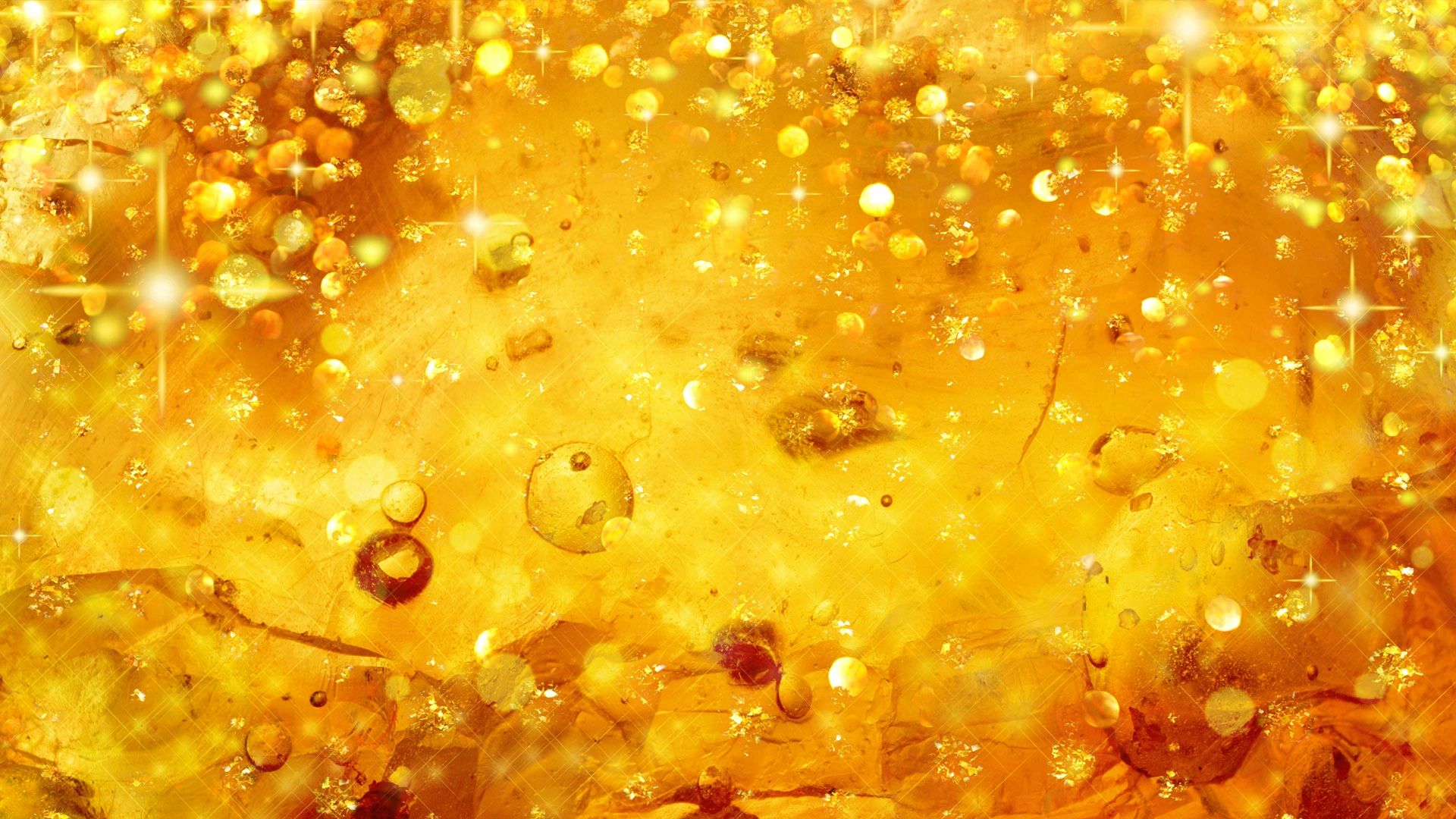 Videos | Amber Cartier's Portfolio and Designs