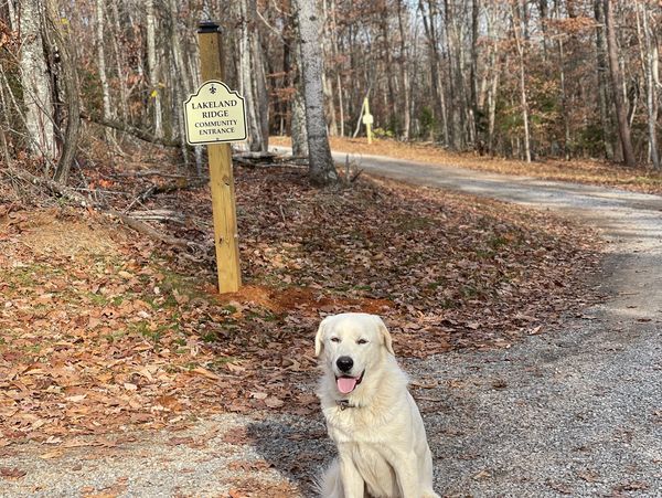 Welcome to Lakeland Ridge RV And Tiny Home Community
