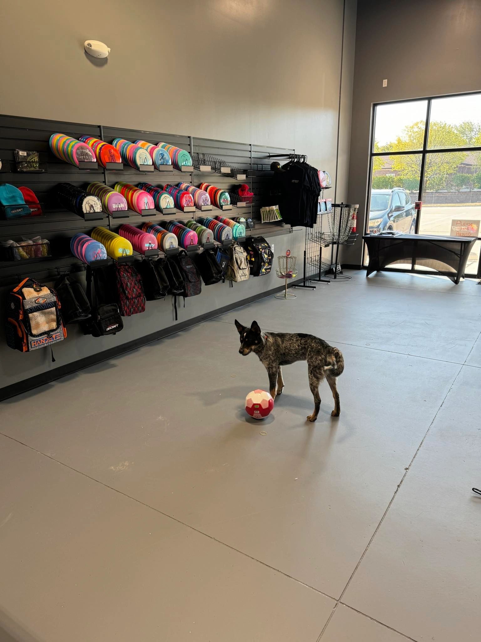 Experience the Best of Disc Golf & Traditional Golf Simulator