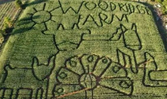 Wood Ridge Farm